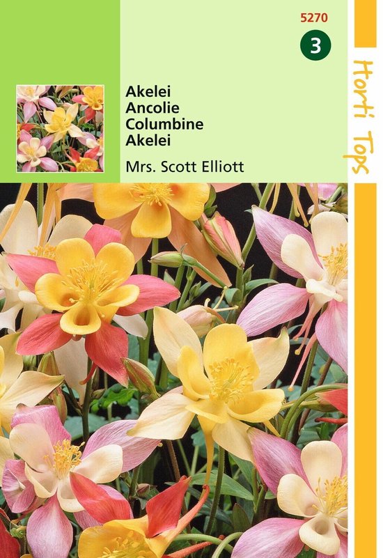 2 stuks - Hortitops - Aquilegia Hybrida Mrs Scott Elliott | bol