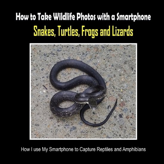 How to Take Wildlife Photos with a Smartphone- Snakes, Turtles, Frogs ...