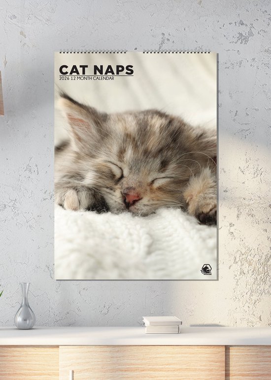 Cat Naps A3 Kalendar 2026 | bol