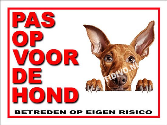 Pharaohond 13 | bol