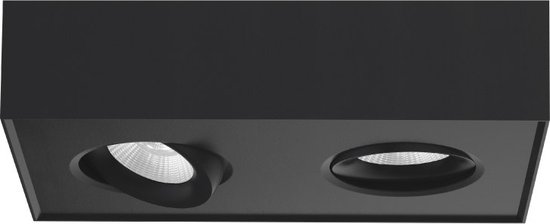 Plafondlamp Brooklyn 2L Zwart - LED 2x8W 2700K 2x670lm - IP20 - Dimbaar ...