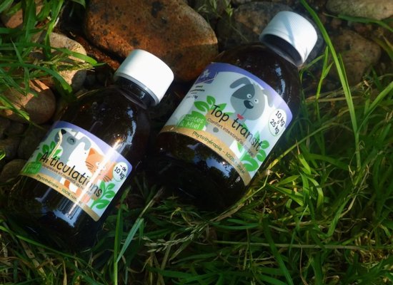 KasTete Franse Top Transit Natuurlijke Siroop - Honden en katten ...