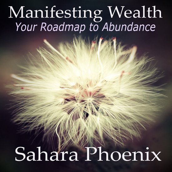 Manifesting Wealth, Sahara Phoenix | 9798882341540 | Boeken | bol