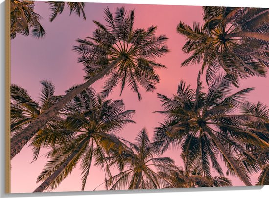 Hout - Palmbomen - Tropisch - Kleuren - Roze - Onderaanzicht - 100x75 ...