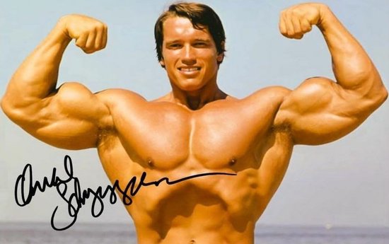 Arnold Schwarzenegger Ingelijste Handtekening – 15 x 10cm In Klassiek ...