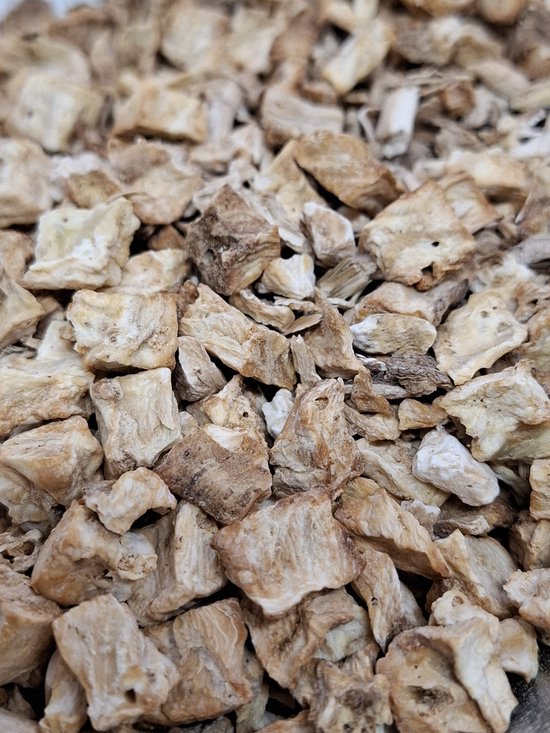 Cichorei wortel (Cichorium intybus)150g | bol