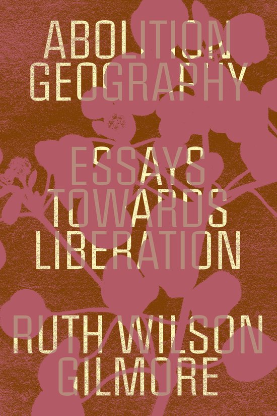 Abolition Geography - Ruth Wilson Gilmore over racisme en opsluiting | bol