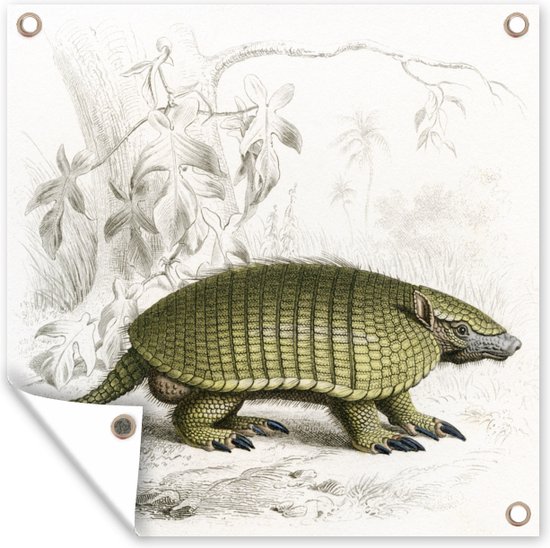 Tuindoek een gordeldier zwart-witte achtergrond - 100x100 cm | bol.com