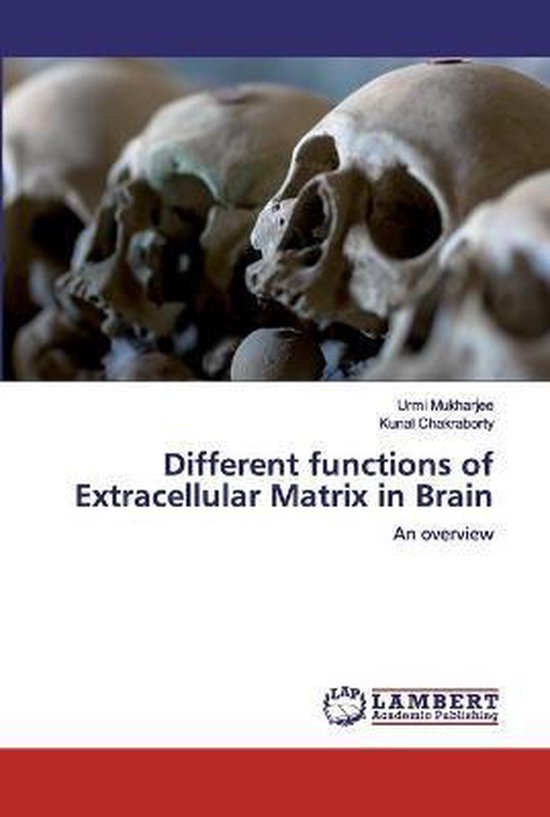 Different functions of Extracellular Matrix in Brain | 9786200439949 ...