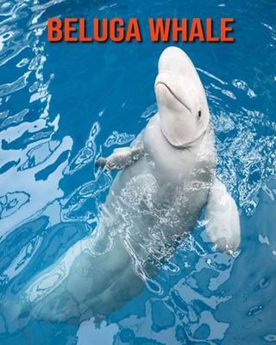 Beluga Whale, Katie Mercer | 9798744595081 | Boeken | bol.com