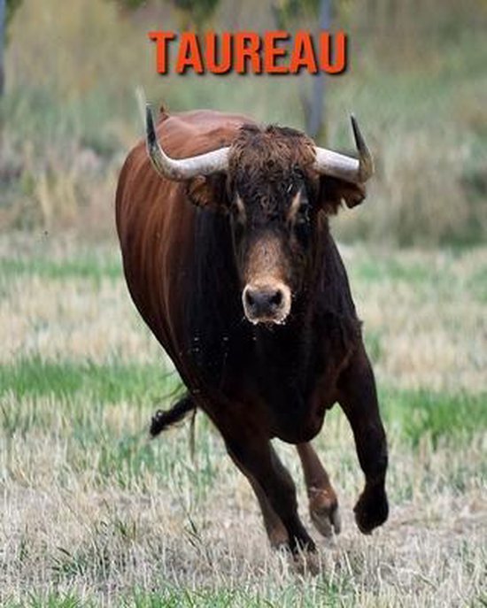 Taureau, Katie Mercer | 9798746744456 | Boeken | bol.com