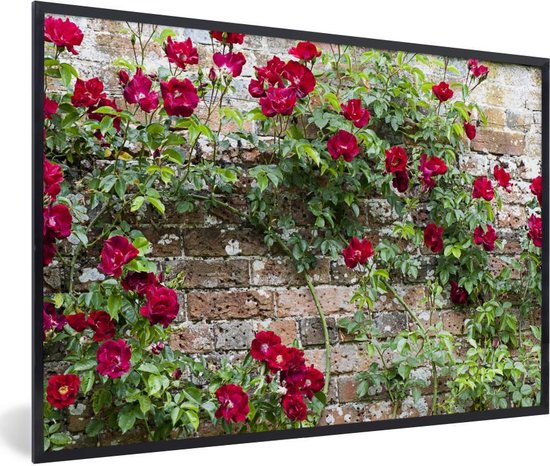 Klimplant met rode bloemen op een stenen muur | bol.com