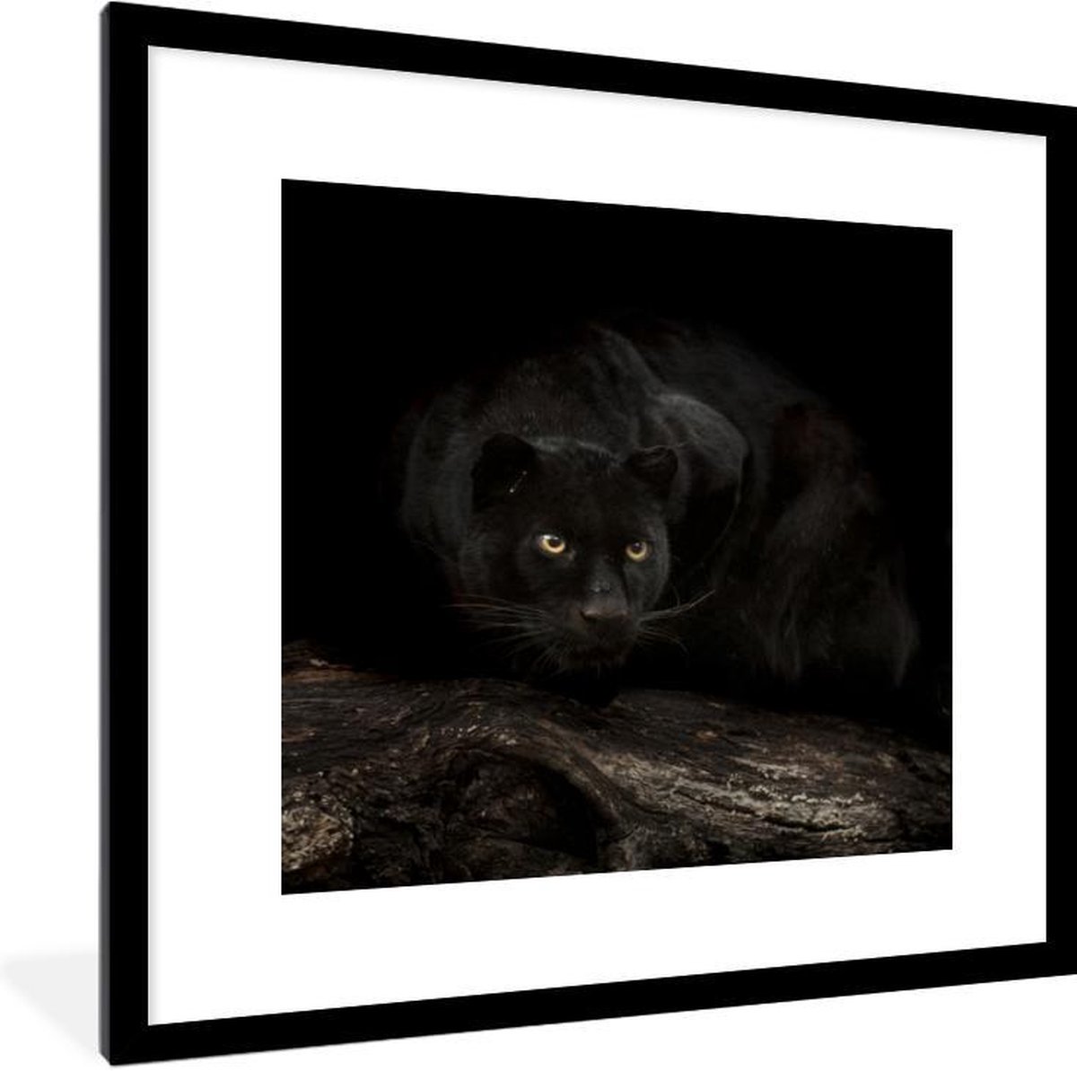 Fotolijst incl. Poster - Panter - Boomstam - Zwart - 40x40 cm ...