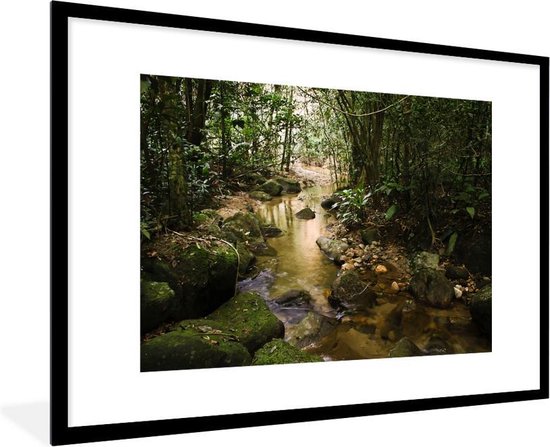 Fotolijst incl. Poster - Dichte begroeiing in het bos van het Floresta ...