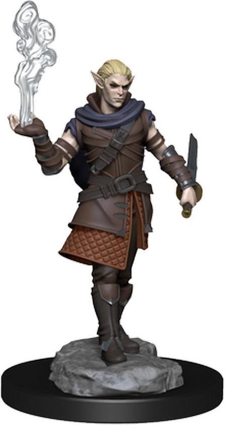 CR: Unpainted - Pallid Elf Rogue and Bard, Male | bol