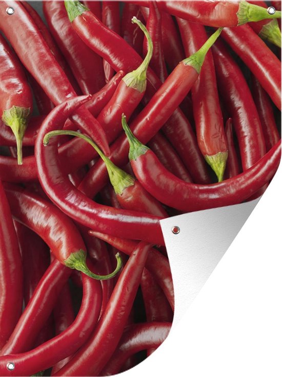 Affiche jardin - Toile jardin - Posters de jardin extérieur - Une ...