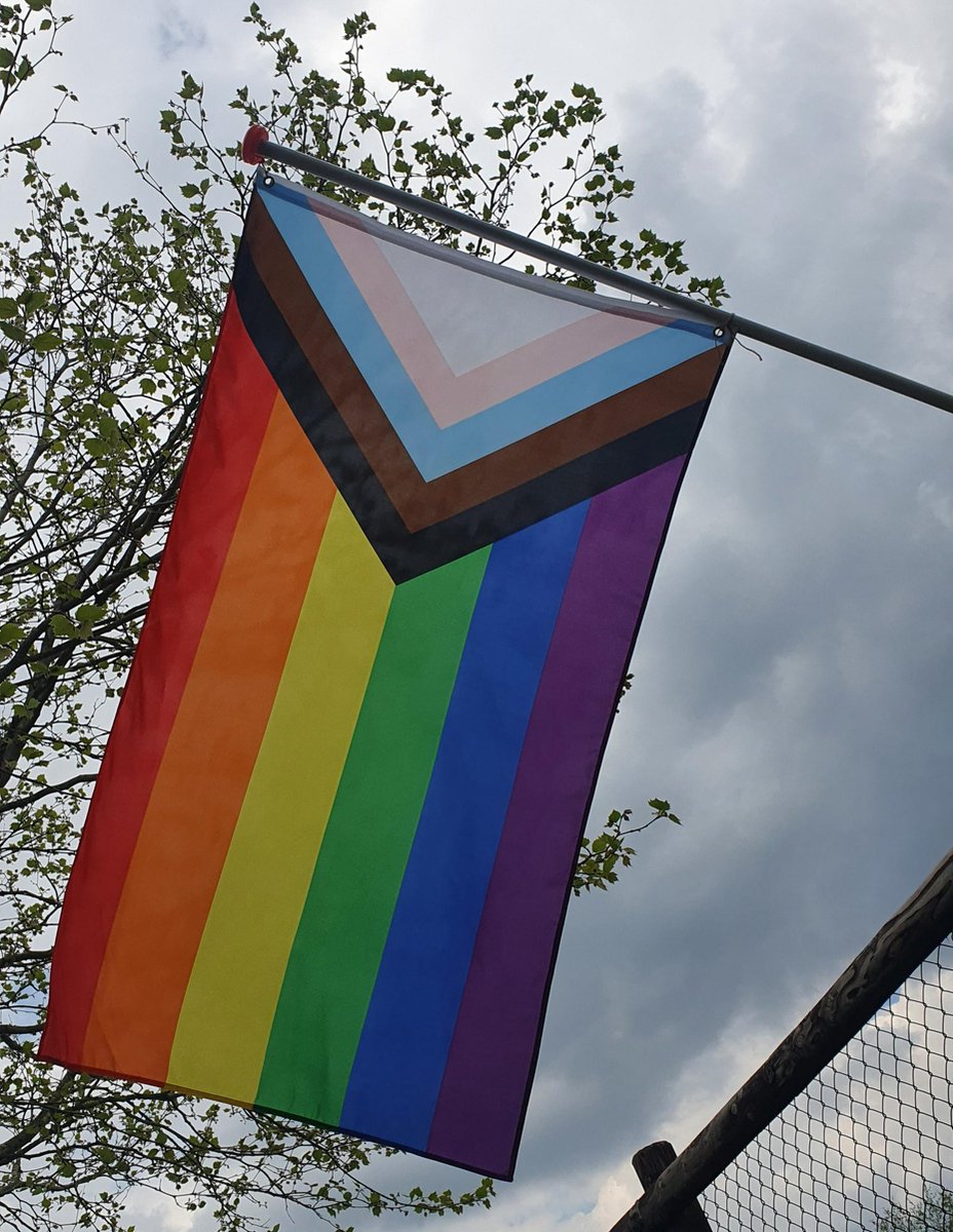 Progress Pride vlag 90x150 - Pride vlag - Progress Pride flag - Pride flag | bol