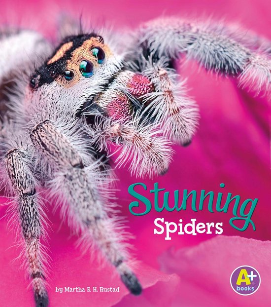 Bugs Are Beautiful! - Stunning Spiders (ebook), Martha E. H. Rustad ...