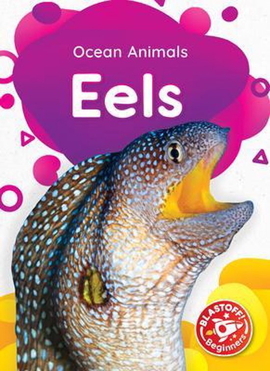 Ocean Animals- Eels, Betsy Rathburn | 9781644874806 | Boeken | bol