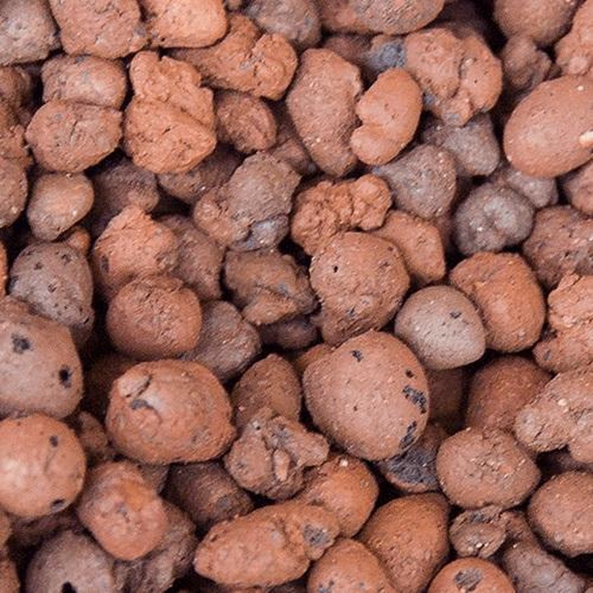 Plant Shop Premium Hydro-granulés 4-8 mm 40 L - Granulés d'argile ...