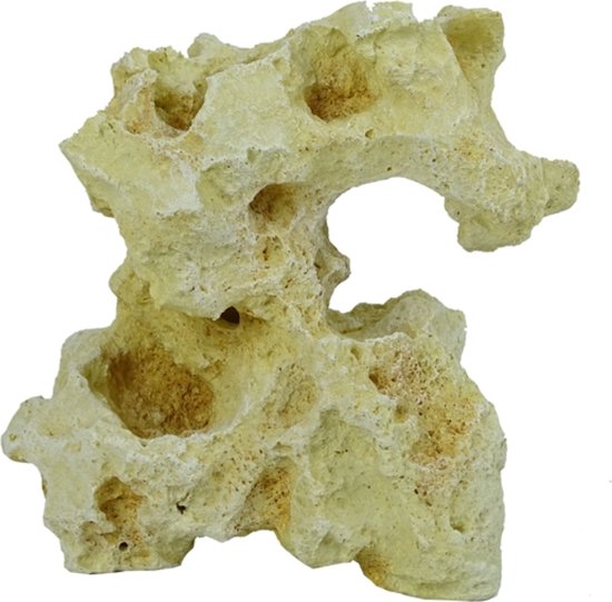 Maan steen - 21.1x12.5x20.7 cm - Aquariumdecoratie | bol.com