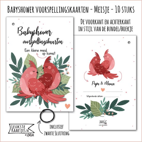 Kaarten - Babyshower -> Voorspellingskaart - Bundel/Boekje - No:03-1 ...