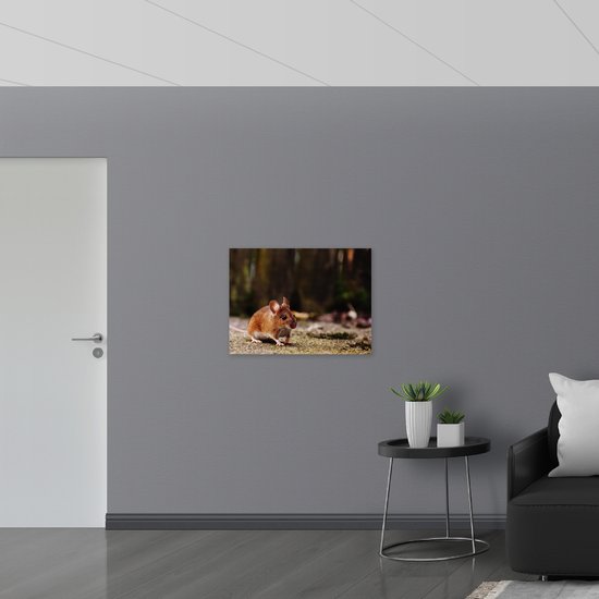 Hout - Klein Veldmuisje in het Bos - 80x60 cm - 9 mm dik - Foto op Hout ...