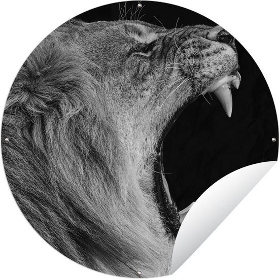 Animaux du Cercle de Jardin - Lion - Zwart - Wit - Portrait - 150x150 ...
