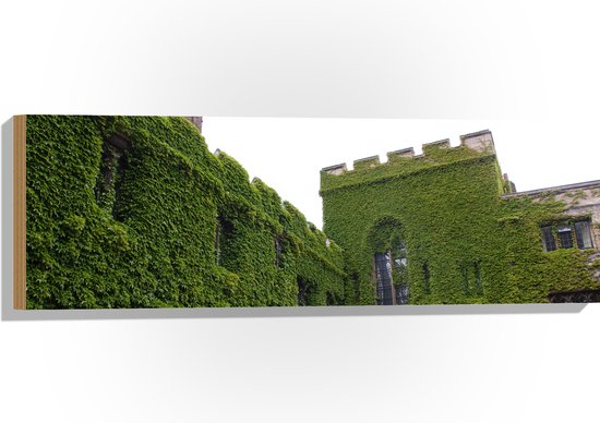 Hout - Oud Kasteel Begroeid door Planten - 90x30 cm - 9 mm dik - Foto ...