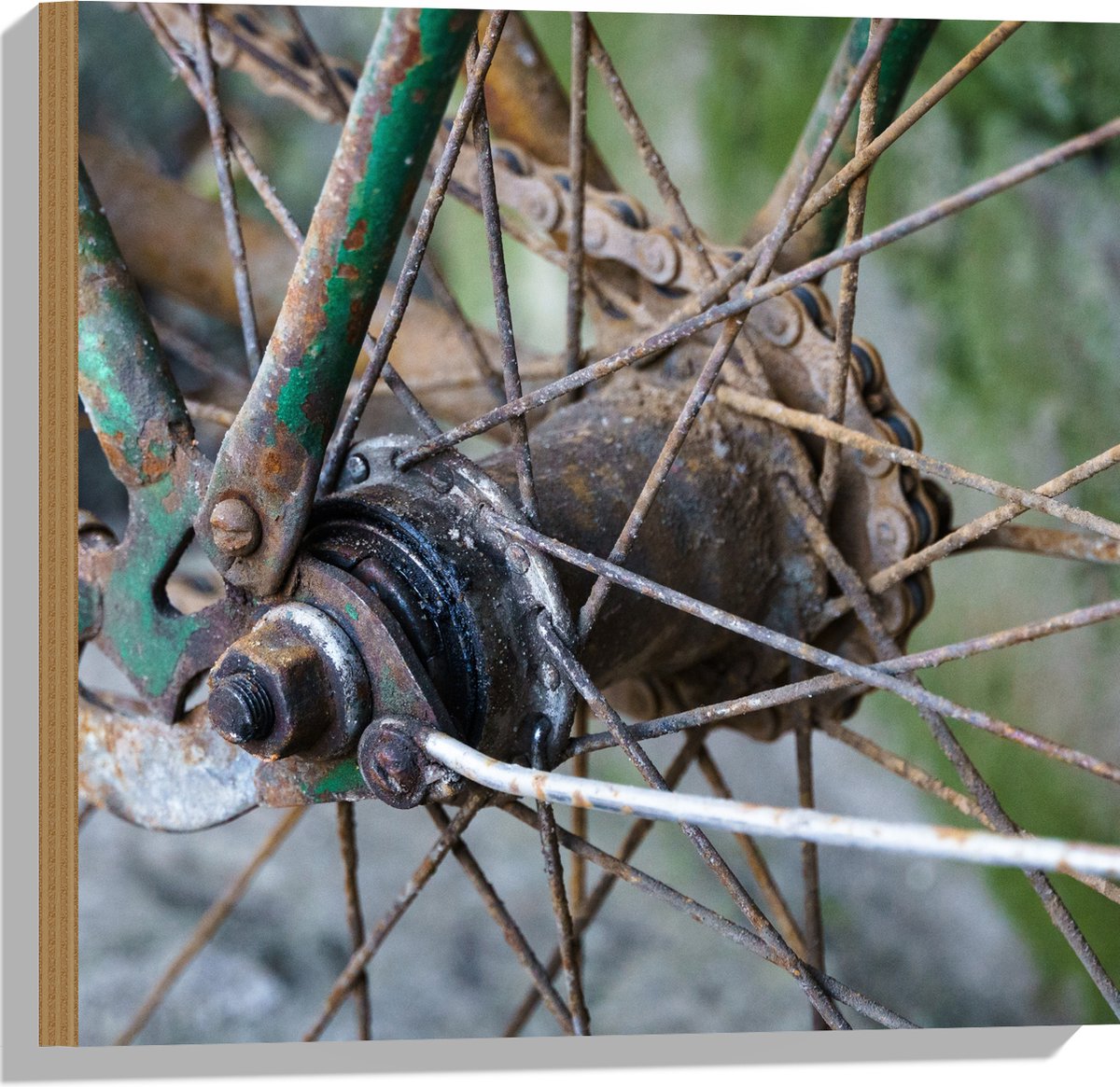 WallClassics - Hout - Spaken van groene Fiets - 50x50 cm - 9 mm dik ...