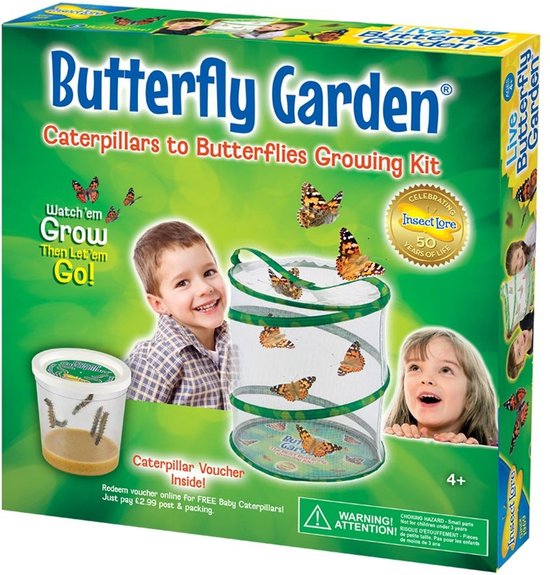 Insect Lore - Butterfly Garden (60099) /Educational and Learning Toys ...