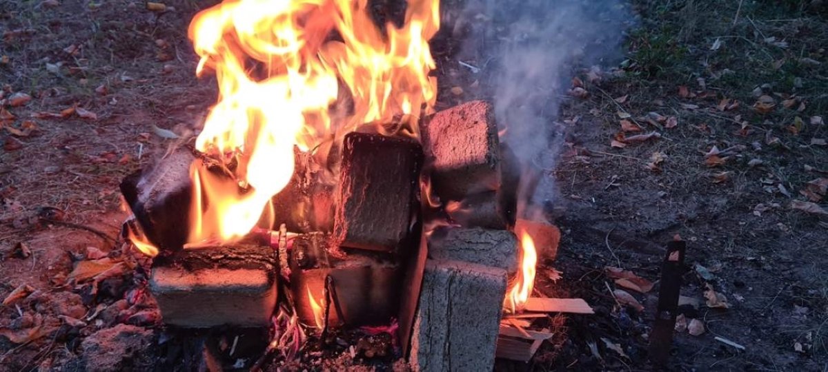 Biobriketten - brikketten gemaakt van biomassa | bol.com