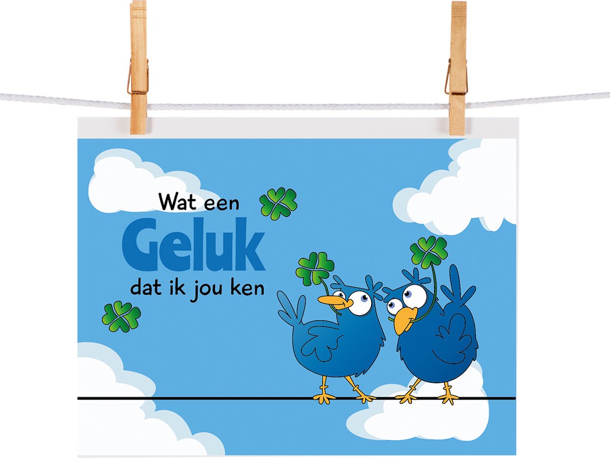 Combi Complimentenkaarten + Cadeaukaarten - Set van mini kaarten A7 ...