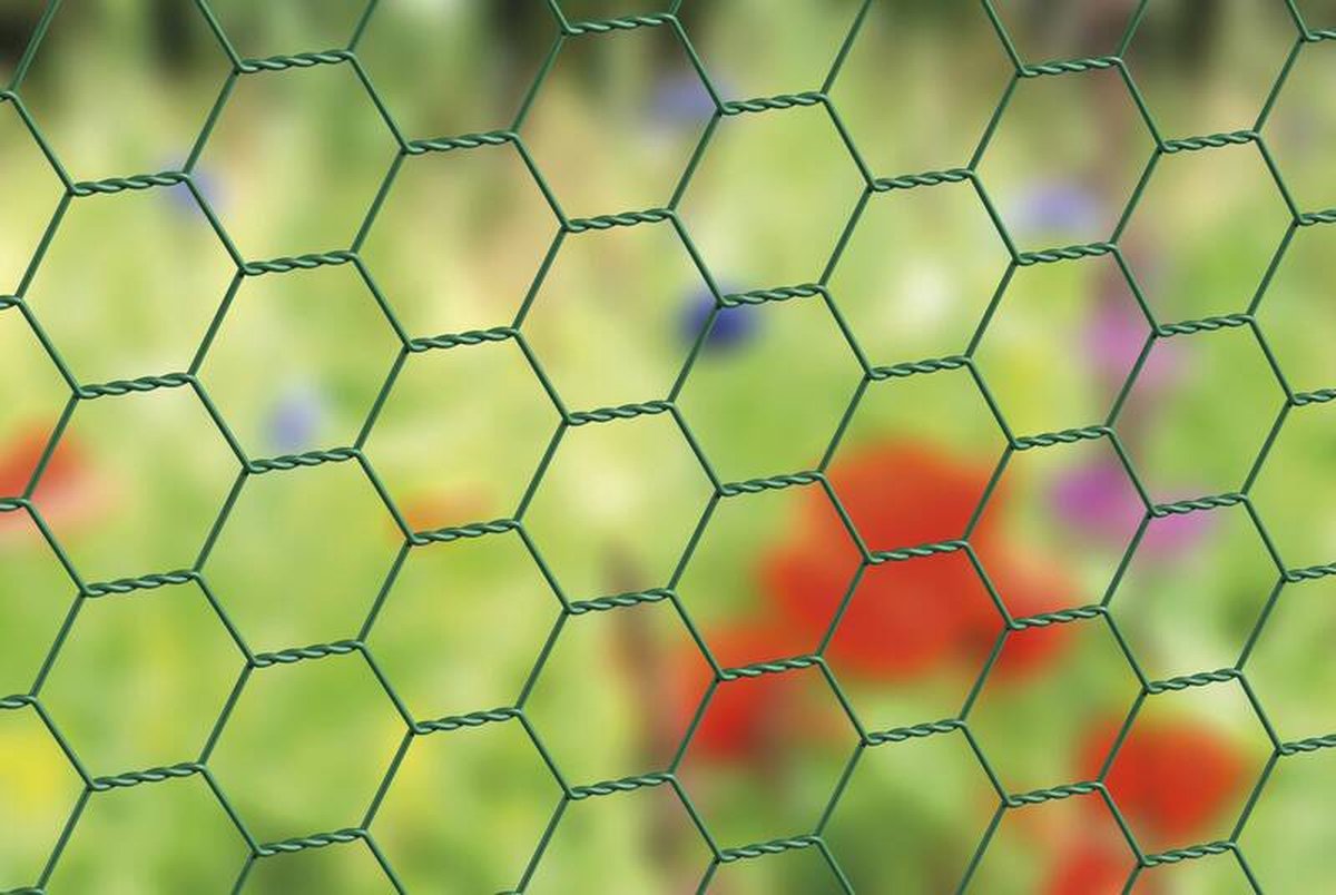 Alberts Zeshoekig gaas groen geplastificeerd, 50cm x 25m, 13x13cm, 1mm ...