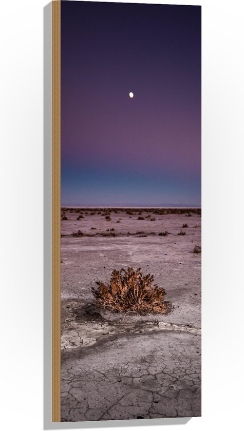 WallClassics - Hout - Donkere Lucht boven Rots Landschap - 30x90 cm - 9 ...