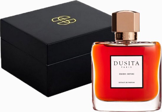 Oudh Infini Extrait de Parfum | bol