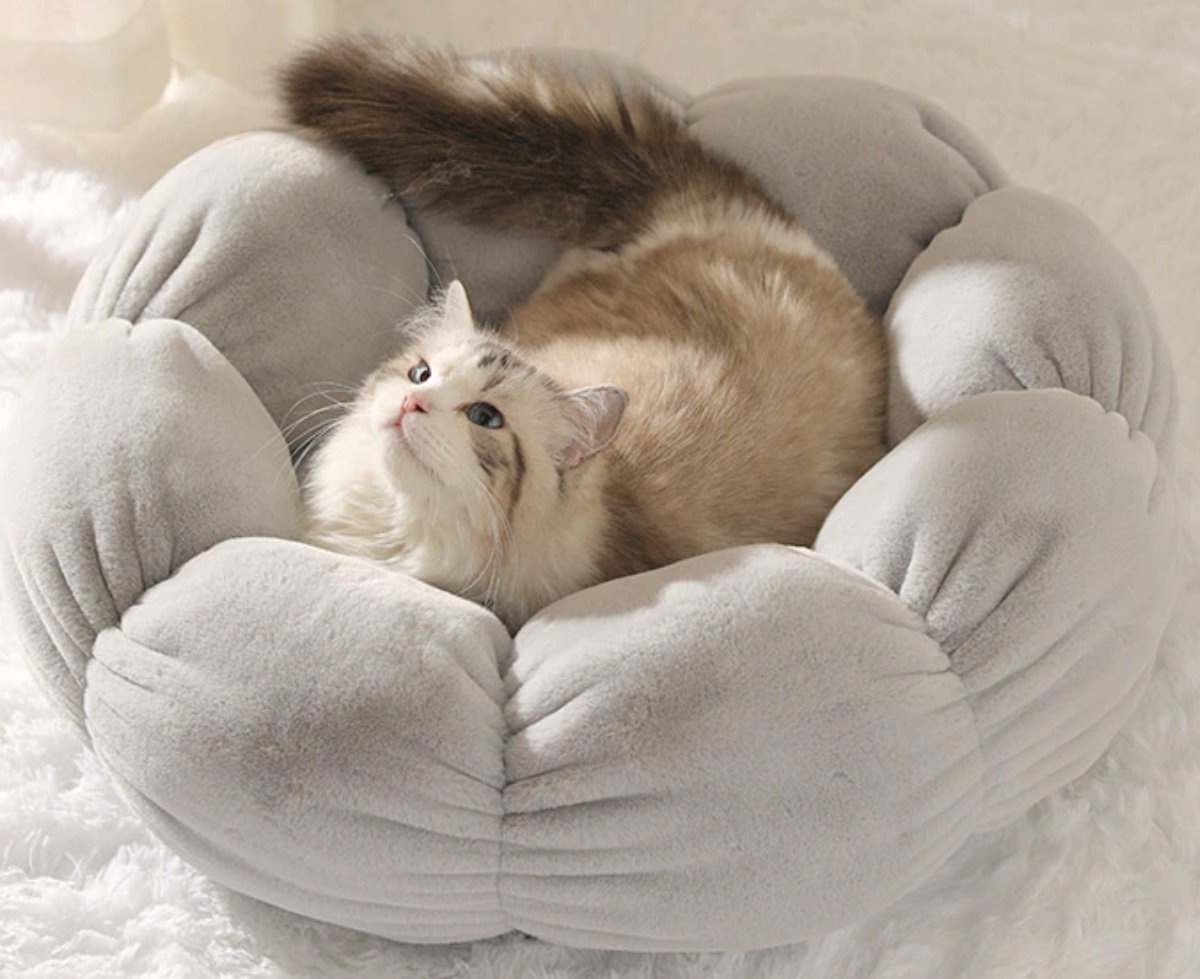 "Inspired by Sacha" Warm en Knus Kattenmandje 40 cm | bol.com