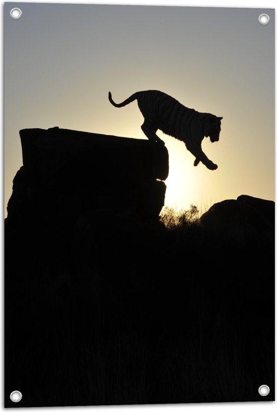 Tuinposter – Tijger Springend van Rots naar Rots - 50x75 cm Foto op Tuinposter... | bol