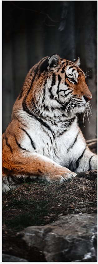 WallClassics - Poster (Mat) - Tijger zittend op de Grond in Bos - 20x60 cm Foto op... | bol