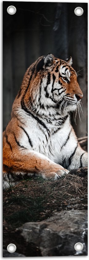 WallClassics - Tuinposter – Tijger zittend op de Grond in Bos - 20x60 cm Foto op... | bol.com