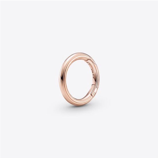 Pandora ME Styling Round Connector 789671C00 | bol.com