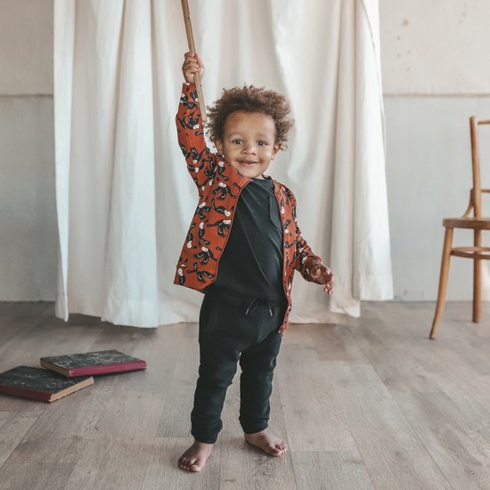 Horizontal | Nout | bol