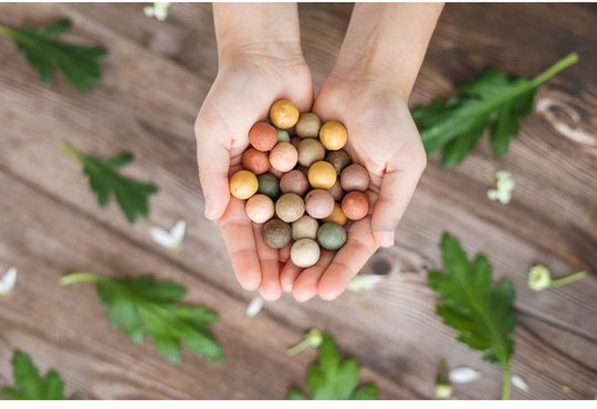 Blossombs-Giftbox-Medium-9 stuks-Bloemen voor... | bol