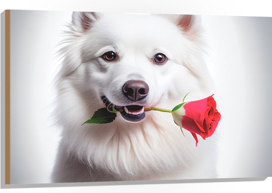 Hout - Romantische Eskimo Hond met Roos tegen Witte Achtegrond - 105x70 ...