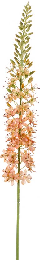 Eremurus peach kunstbloem 105 cm | bol.com