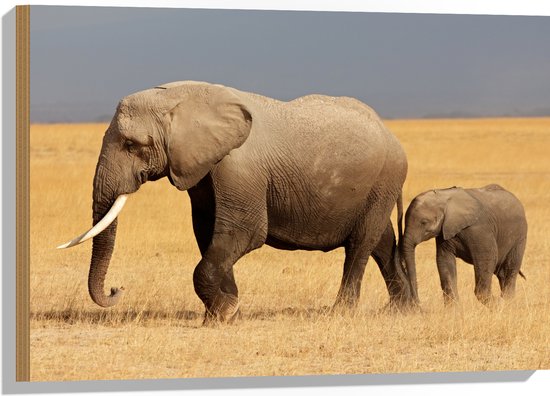 Hout - Afrikaanse Olifant met Baby Olifantje - 75x50 cm - 9 mm dik ...