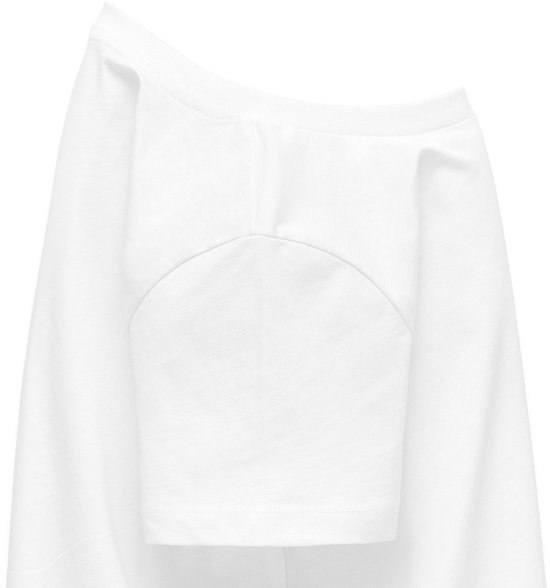 Minions Met Schild Umgeben Von Idioten | bol