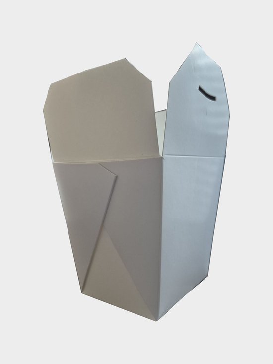 Noodle box - Asian Food - Karton - Vetvrije binnenkant - Anti Lek - Wok ...