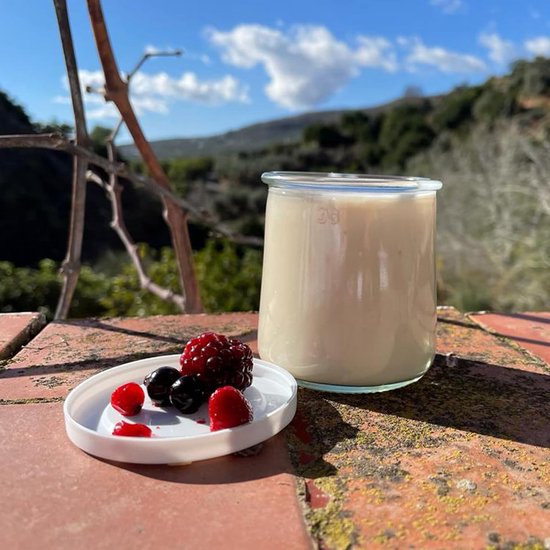 Verstelbare herbruikbare yoghurtdeksels voor grote potten - 6 stuks | bol