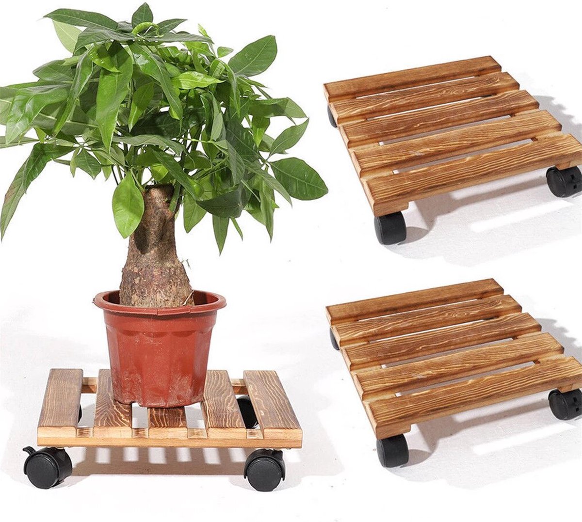 Polaza® Plantenonderzetter - Plantenrollers Op Wielen - Onderschaal ...